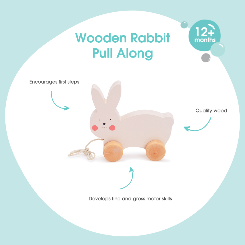Bubble Wooden Rabbit Pull Along – Bloom Connect
